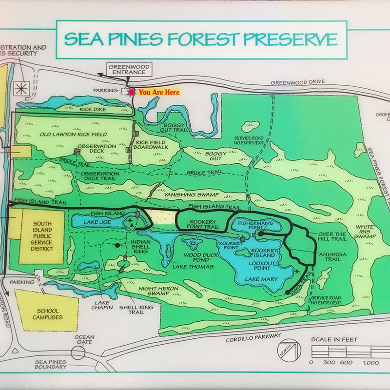 The Rich Heritage & Historic Sites Of Hilton Head Island – Palmera ...