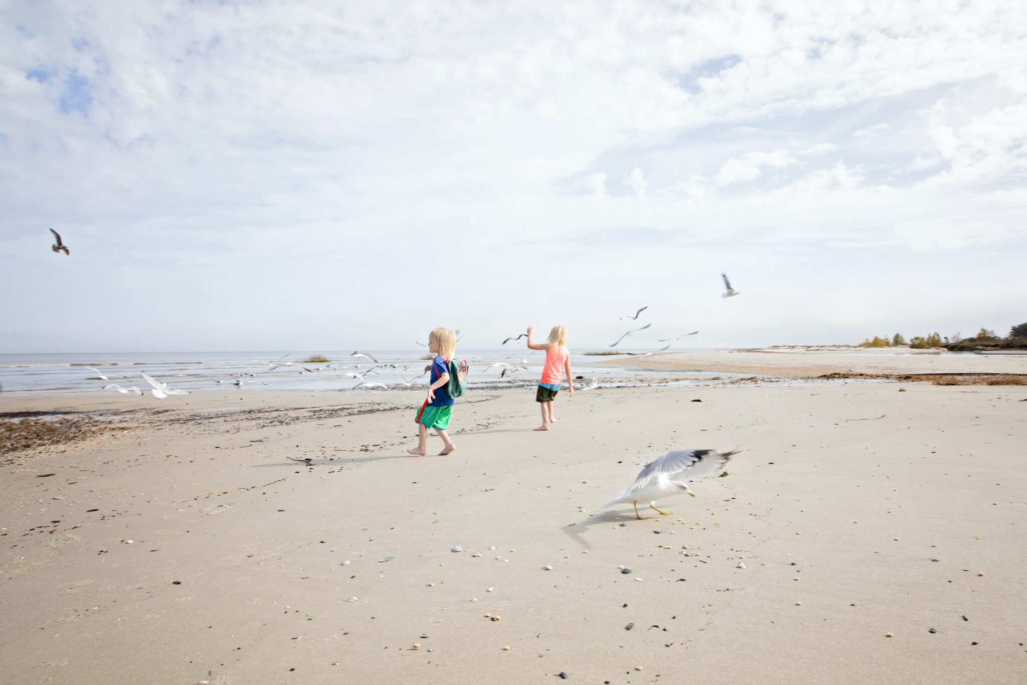 Hilton Head Island–A Family-Friendly Destination – Palmera Vacation ...