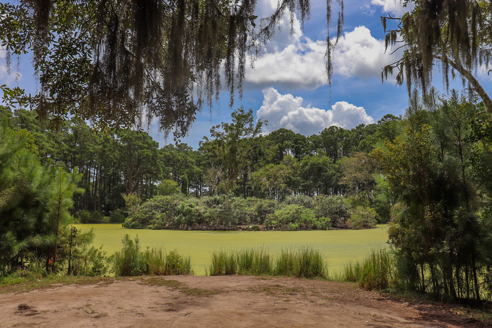 Discover Daufuskie Island – Palmera Vacation Club – Palmera Go